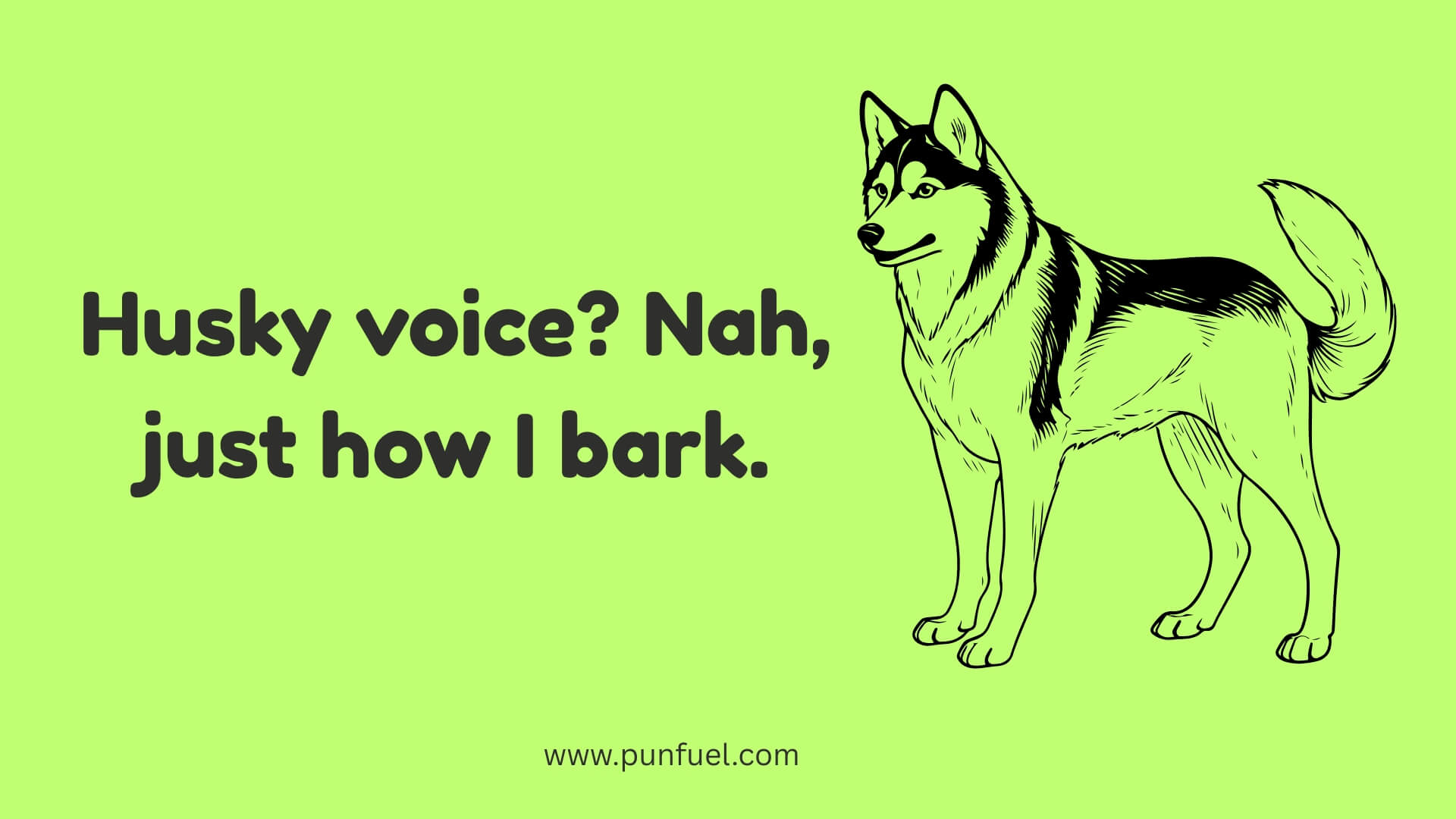 300+ Dog Puns That’ll Fetch You Some Serious Laughs - Pun Fuel