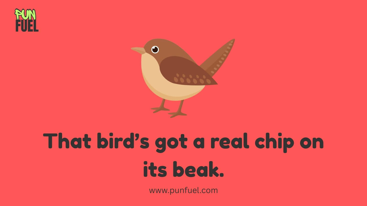 220 Bird Puns That’ll Make You Caw with Laughter - Pun Fuel
