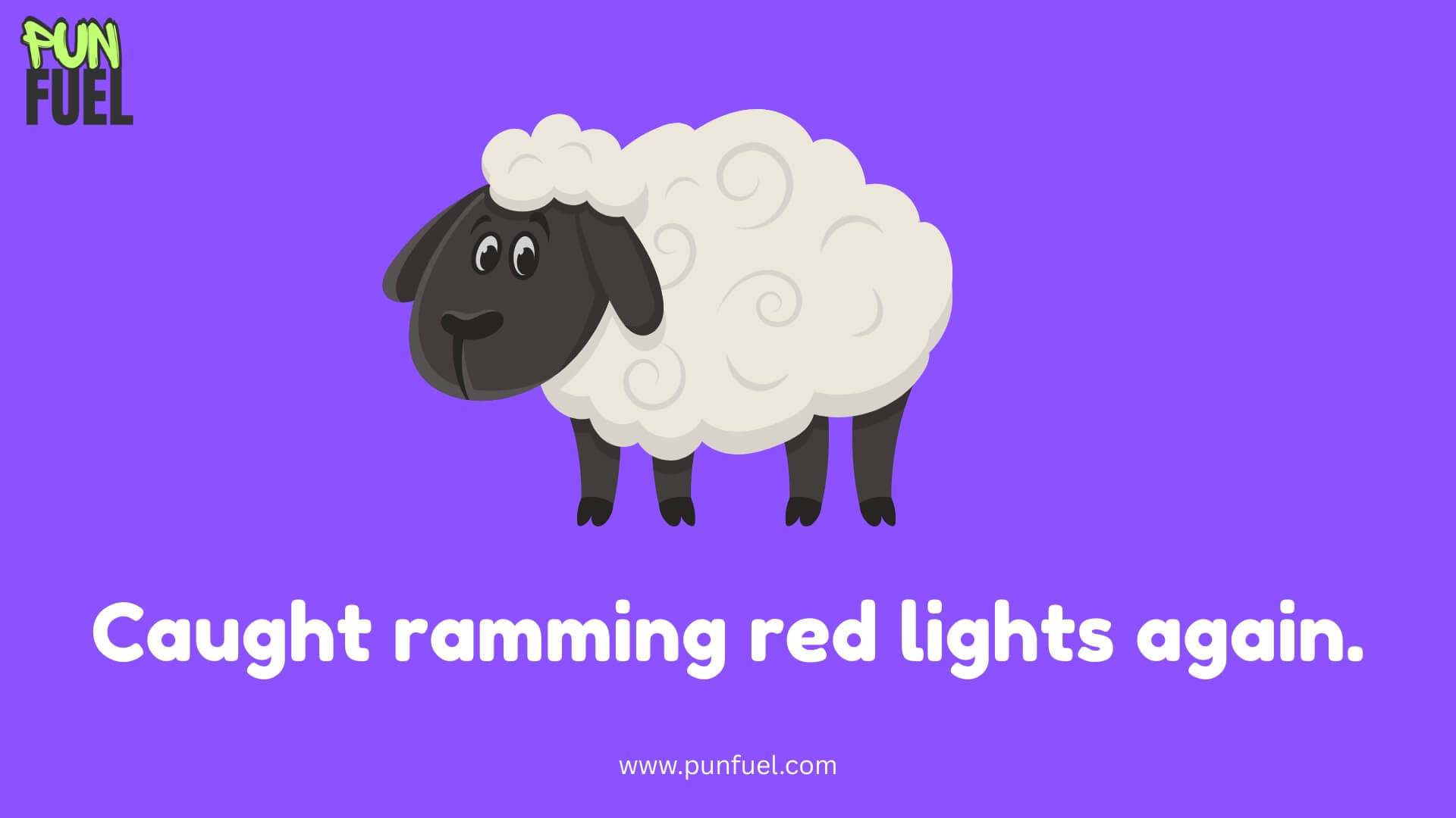 180 Sheep Puns That Are Woolly Hilarious - Pun Fuel