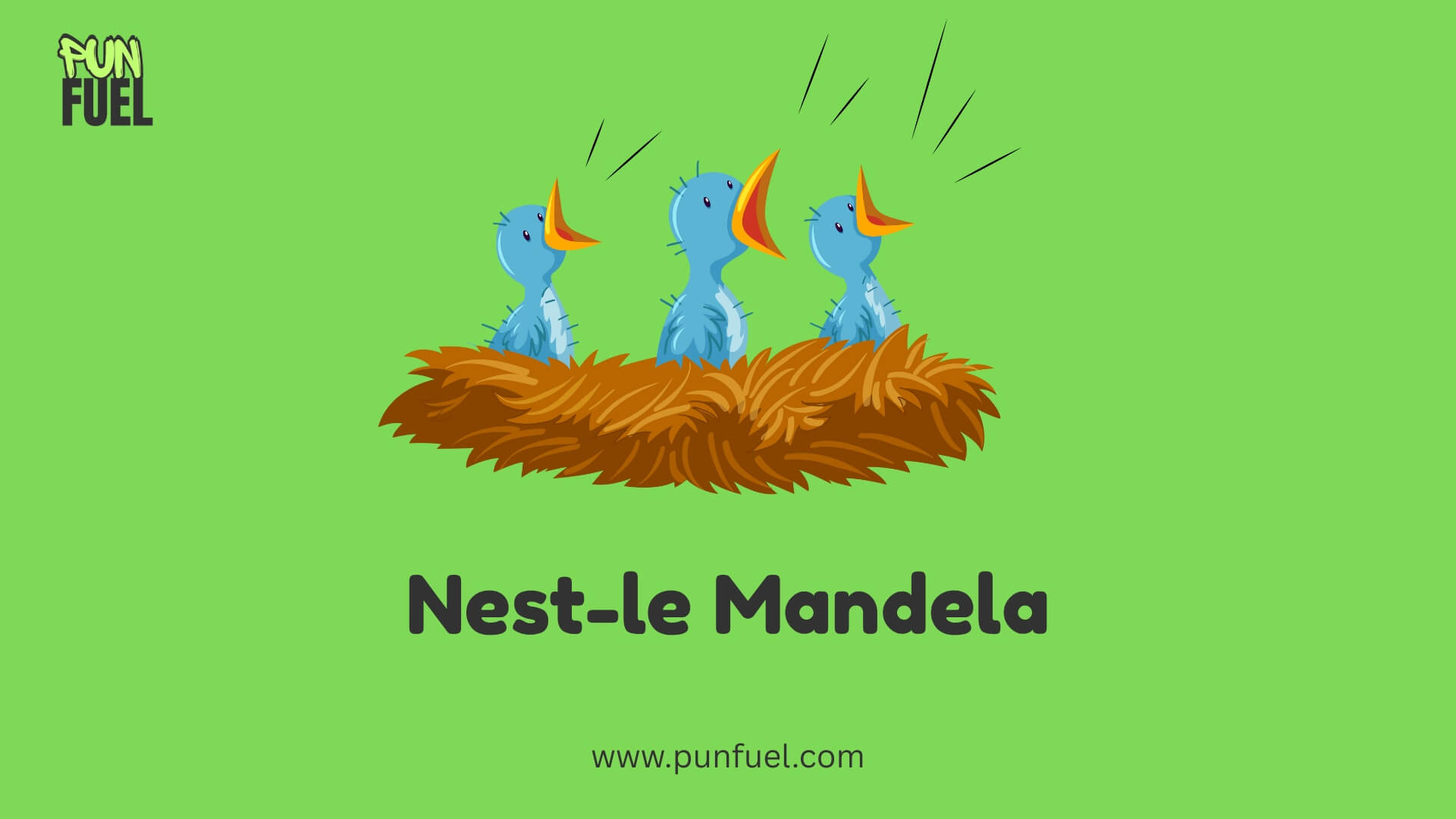 220 Bird Puns That’ll Make You Caw with Laughter - Pun Fuel