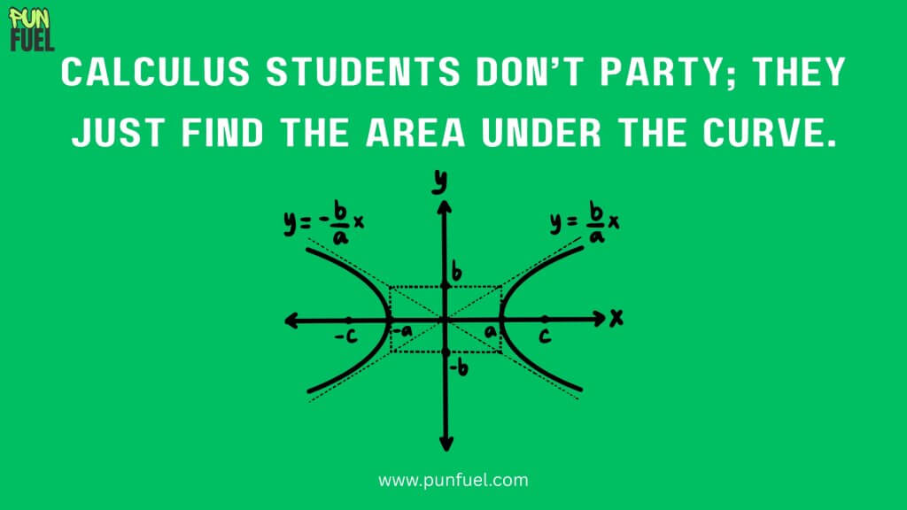 240 Calculus Puns That Prove Math Has a Funny Side - Pun Fuel